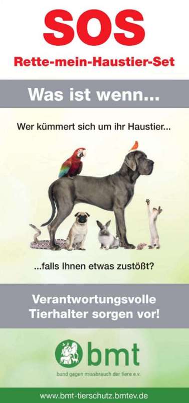 Flyer und Poster | bmt e.V.